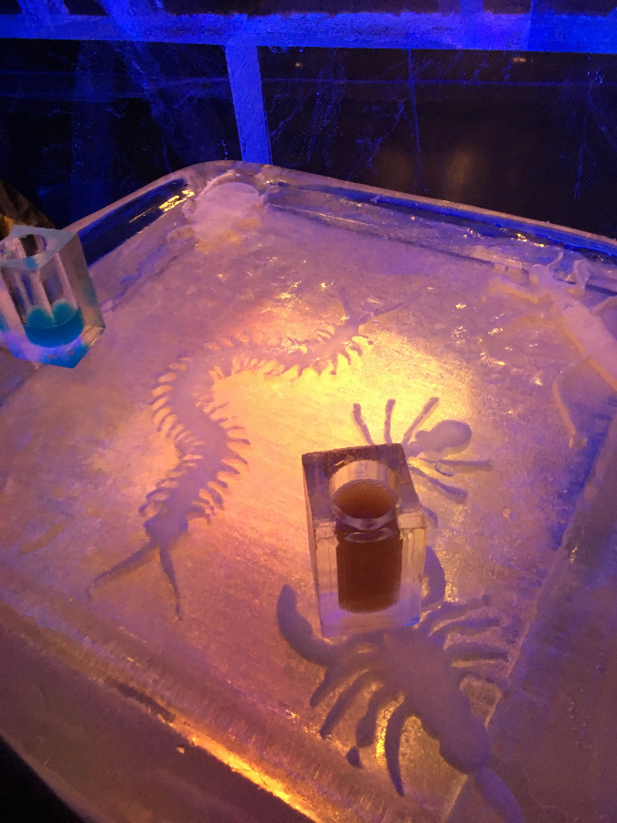 The Coolest Bar in Town – ICEBAR Experience – URBAN-ADVENTURER