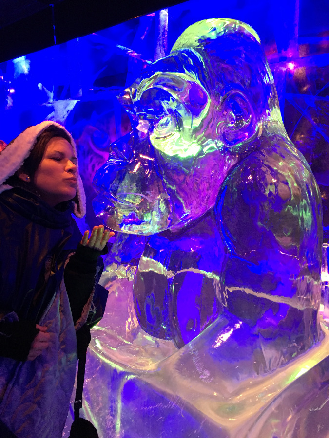 The Coolest Bar in Town – ICEBAR Experience – URBAN-ADVENTURER