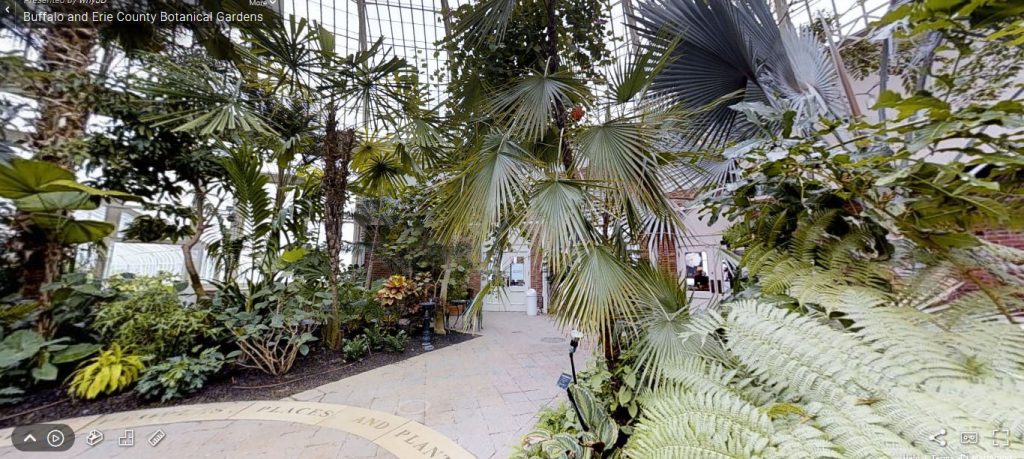 Fed Up With Self-Isolation? Take a Virtual Walk in the Most Beautiful ...