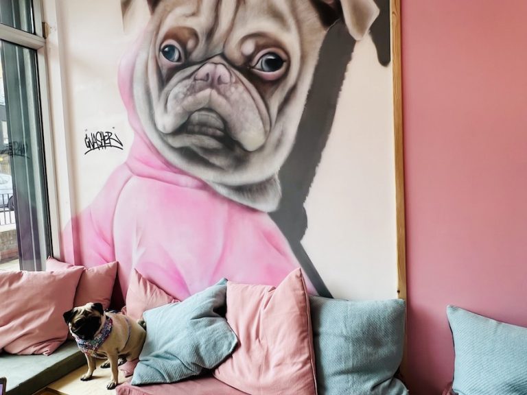 Pug-Themed Café Opened in London – CuppaPug – URBAN-ADVENTURER