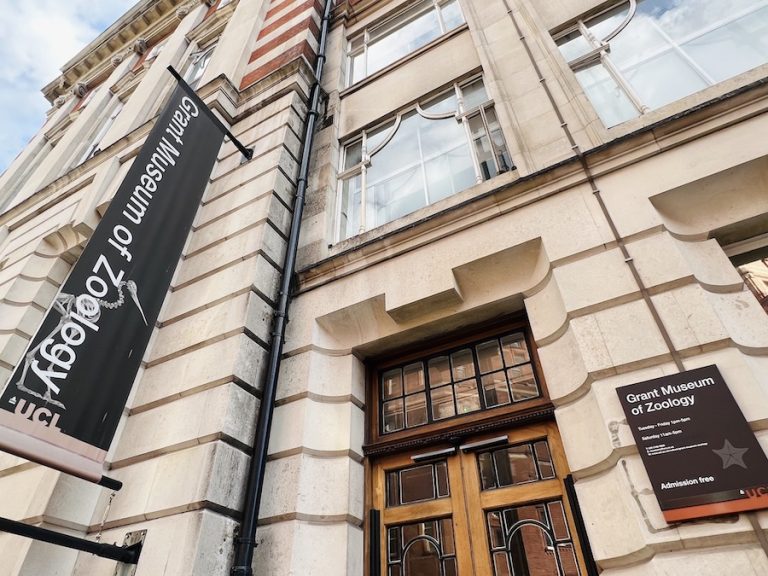 Must-Visit Museums this Halloween (Part 4) – Grant Museum of Zoology ...