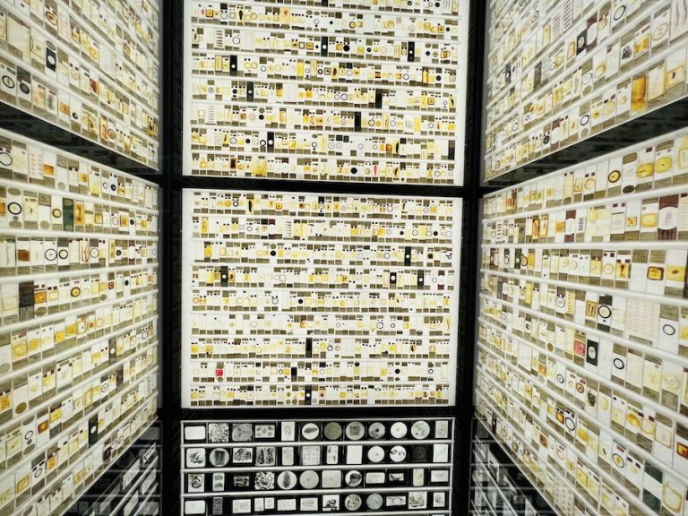 Must-Visit Museums this Halloween (Part 4) – Grant Museum of Zoology ...