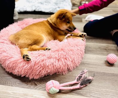 Serial Killer: The Exhibition – URBAN-ADVENTURER