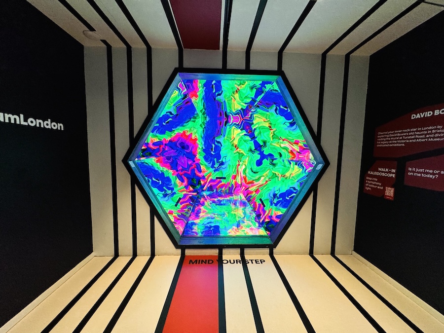 Tropical Paradise at Paradox Museum – URBAN-ADVENTURER